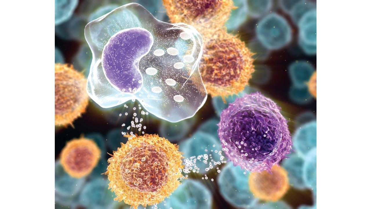 War of the Microbes: Immunity and Knowledge You Need - Kelly Brogan MD