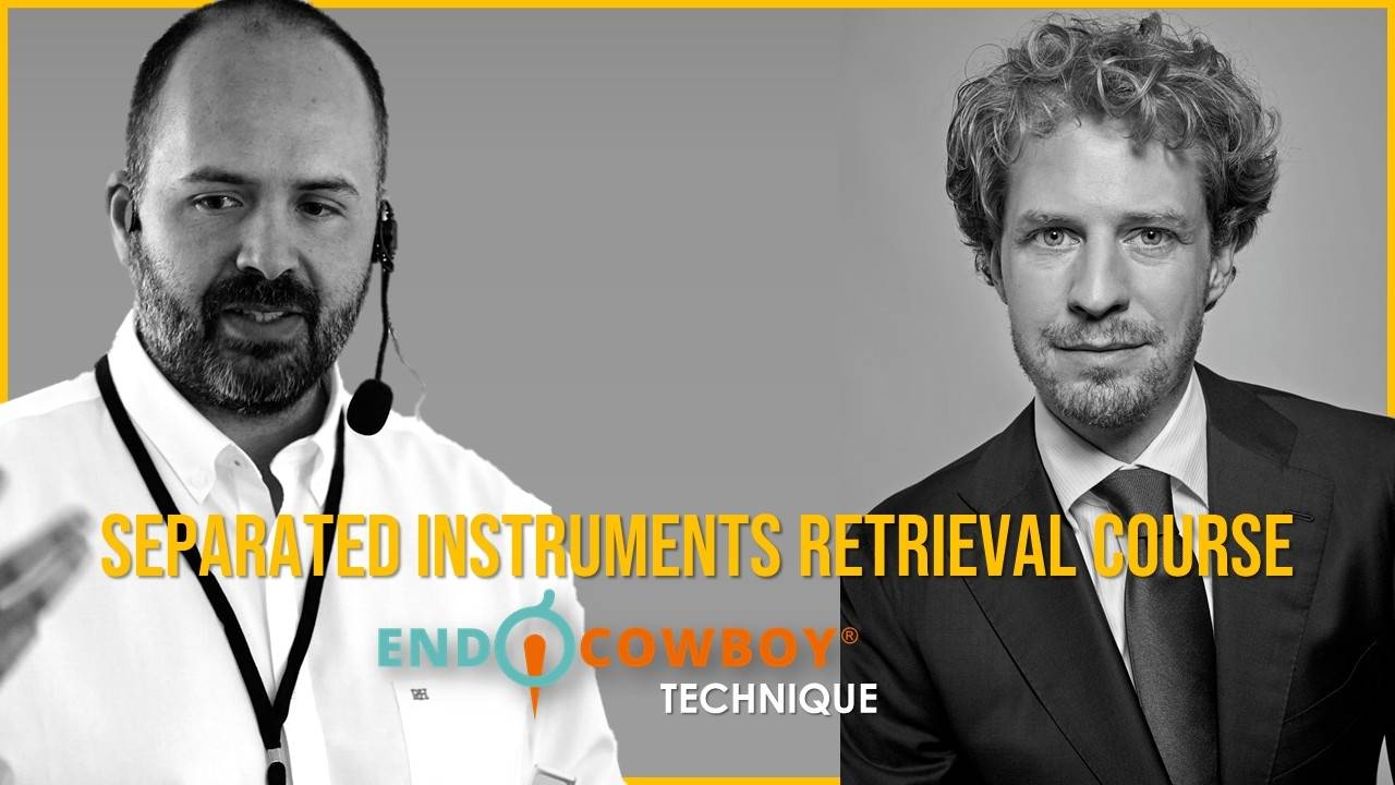 Separated Instruments Retrieval Course