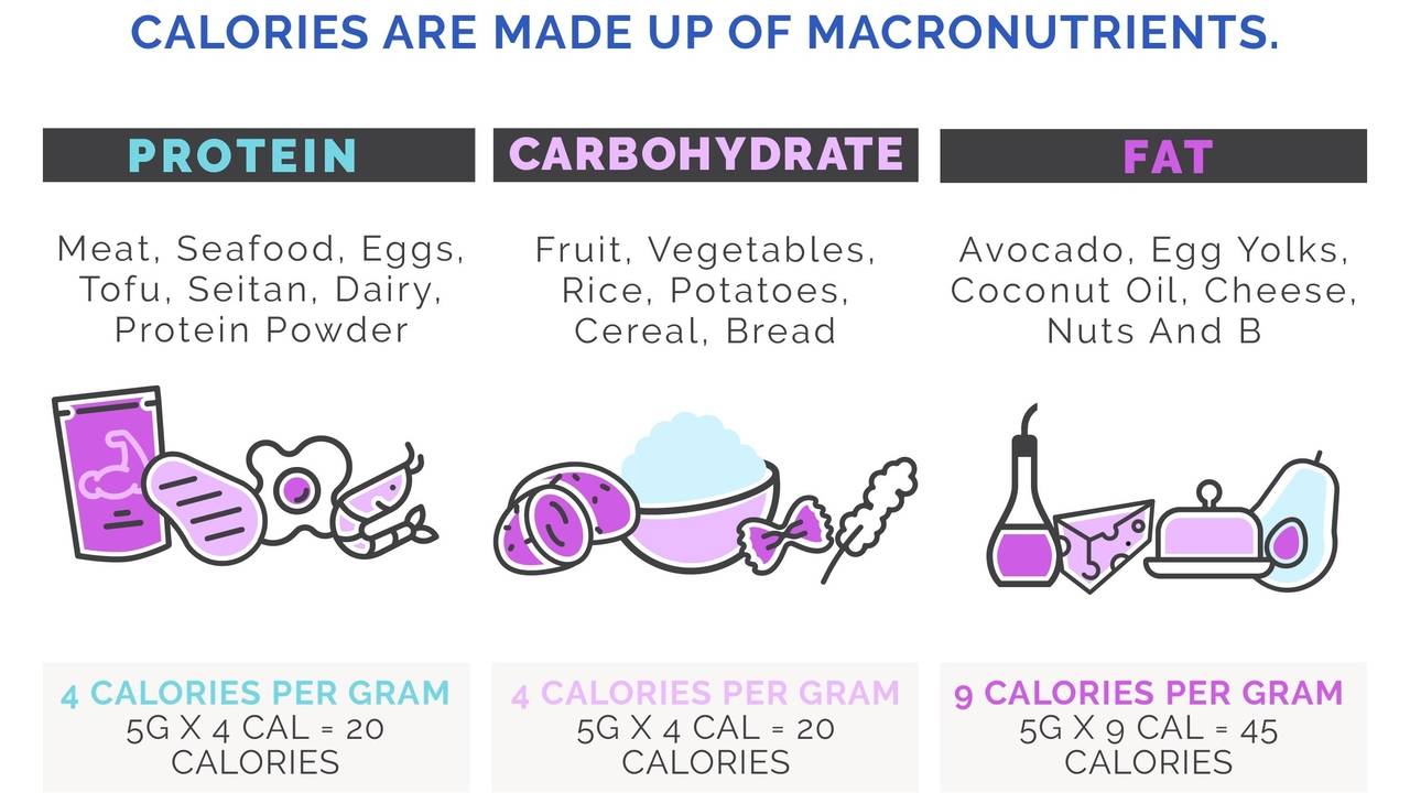 macronutrients 101