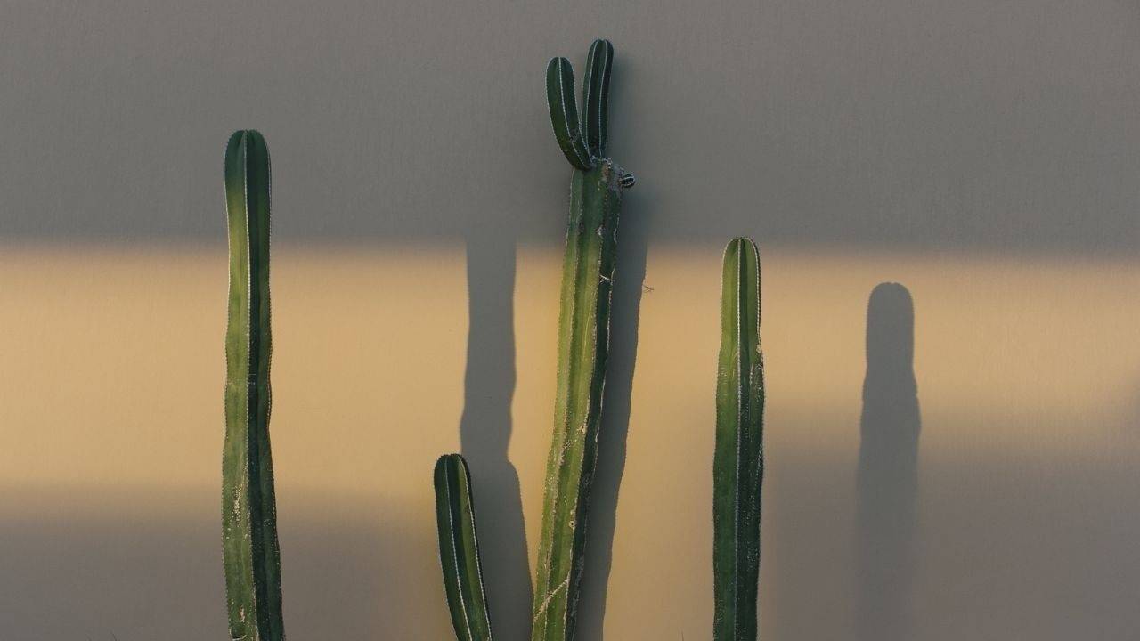 How Crunches Affect Your Shoulder Pain