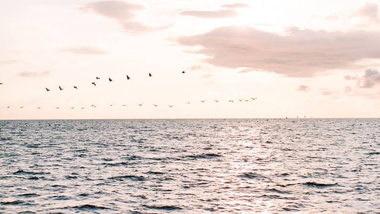 What It Means to Live Life in a Flow State