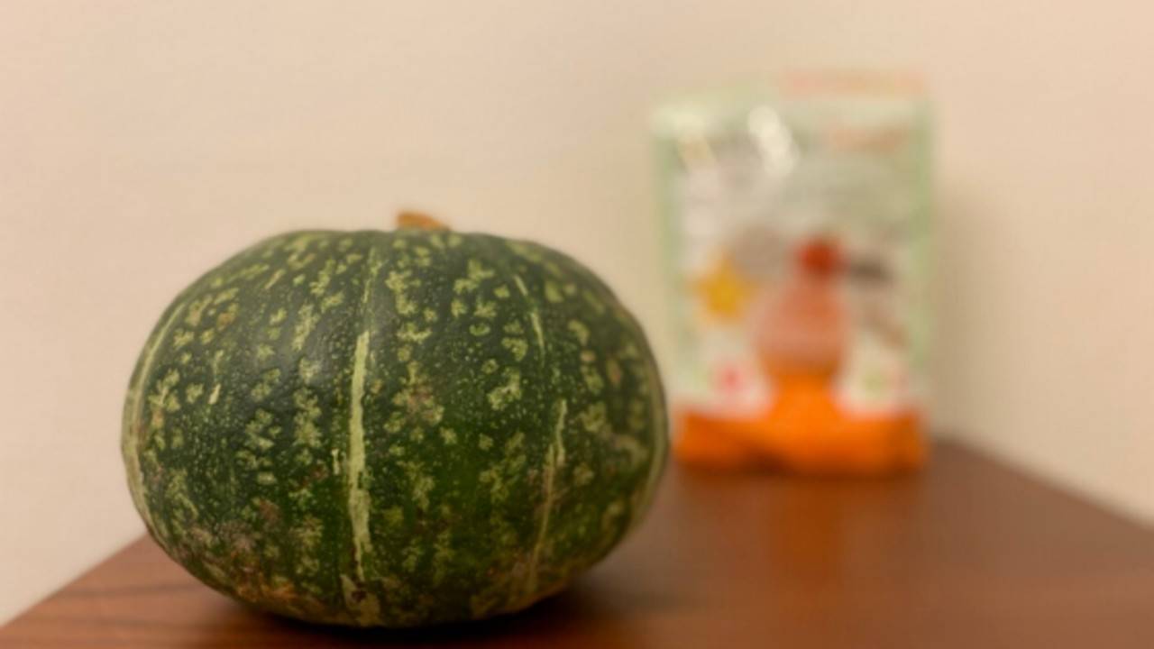 Kabocha Extract: The Best Kept Secret in Keto-Sweeteners?