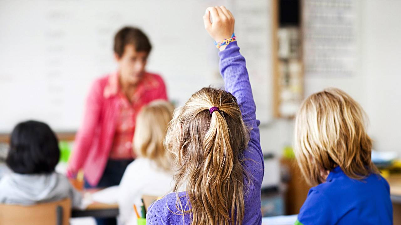 The Push: A Story of Friendship - K-6 Lesson Plan!