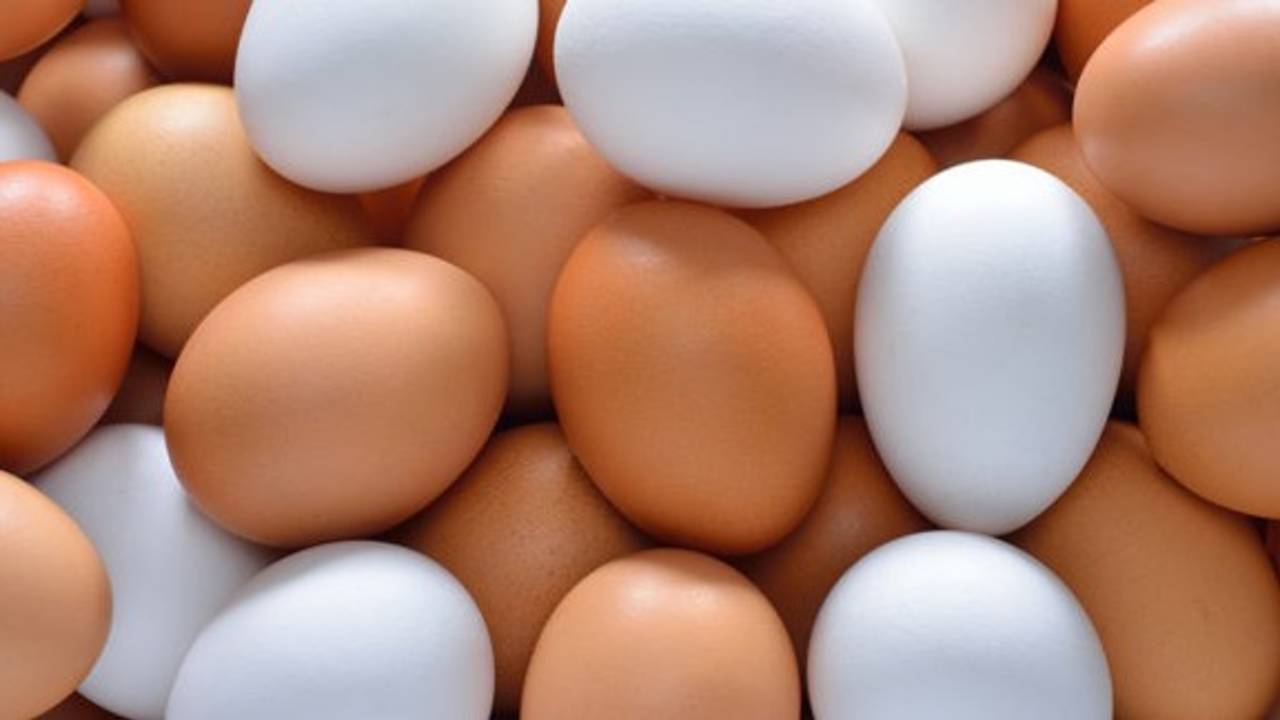 Cómo insultar a alguien en chino (Hablamos de huevos)