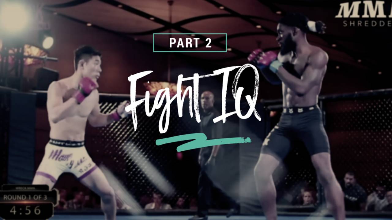 MMA Striking Mini-Series Part 2: Fight IQ
