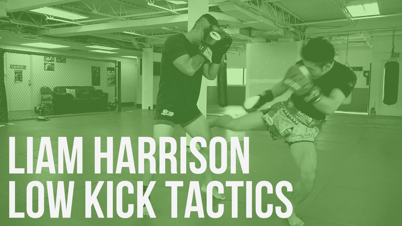 5 Liam Harrison Low Kick Tactics