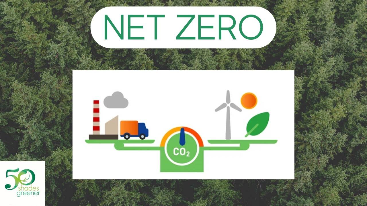 Path to Net Zero | How to Achieve Decarbonisation