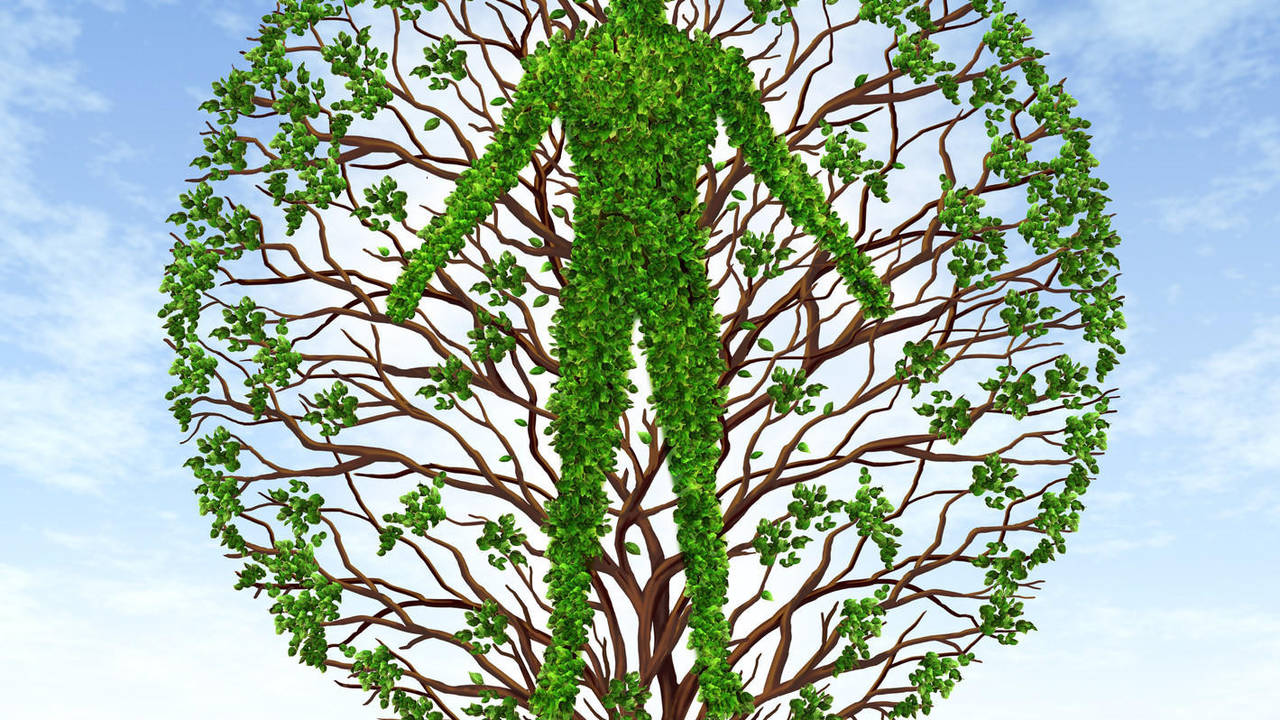 Are you intentionally growing each day?