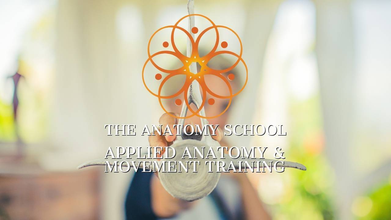 30 Hour Online Education | The Anatomy School