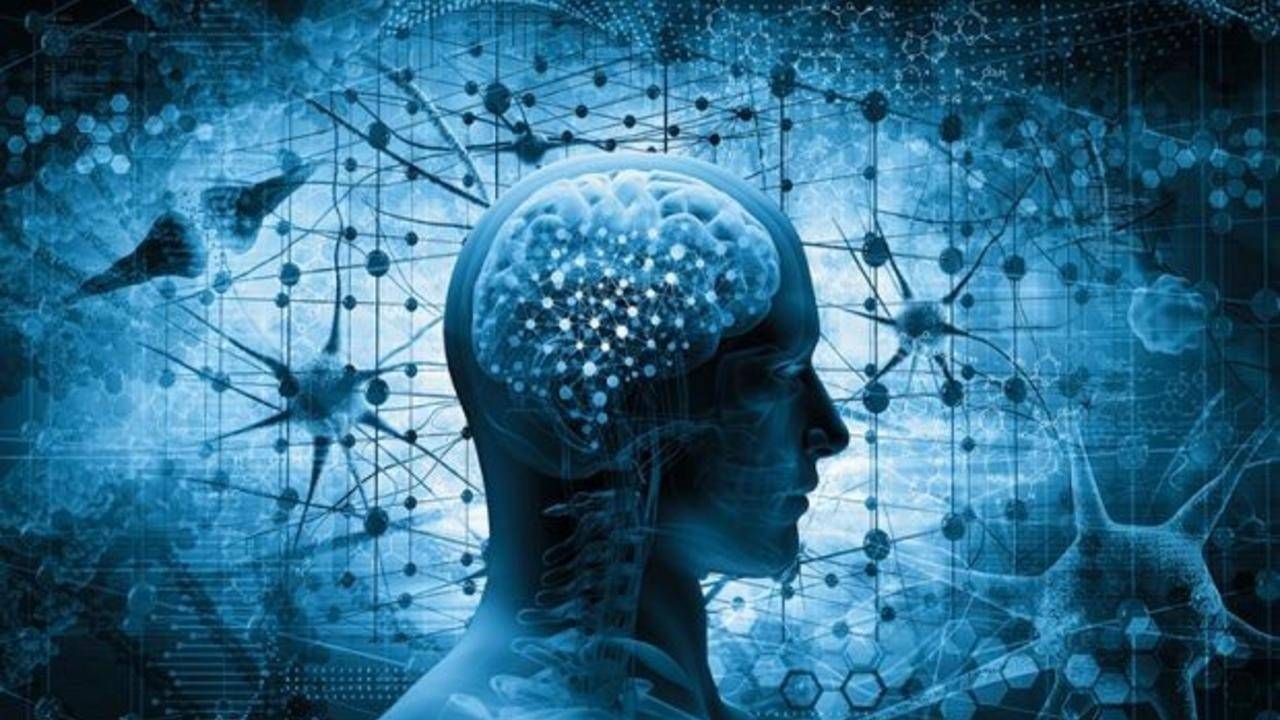 The Unleashed Power of Brain and Body Integration | Grant Herbert