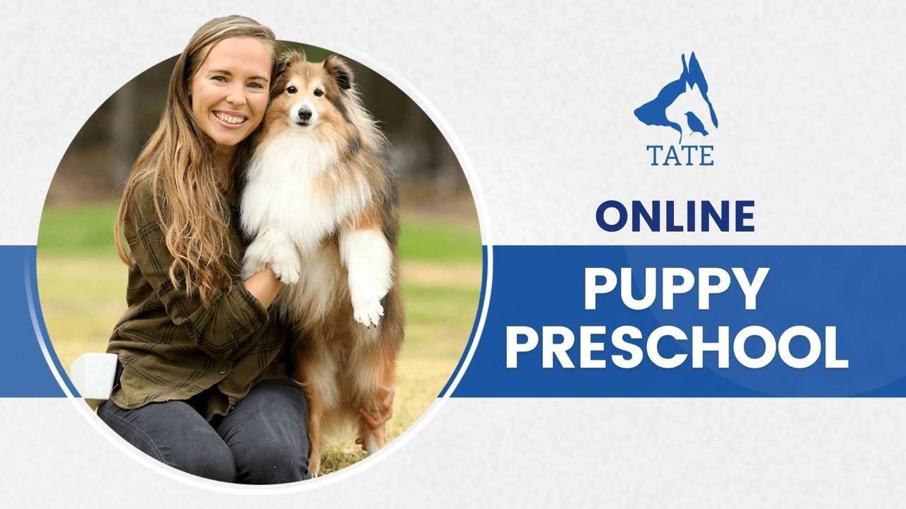 TATE Online Puppy Preschool