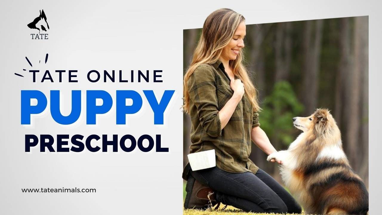 TATE Online Puppy Preschool