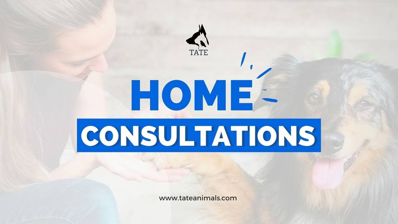 Home Consultations