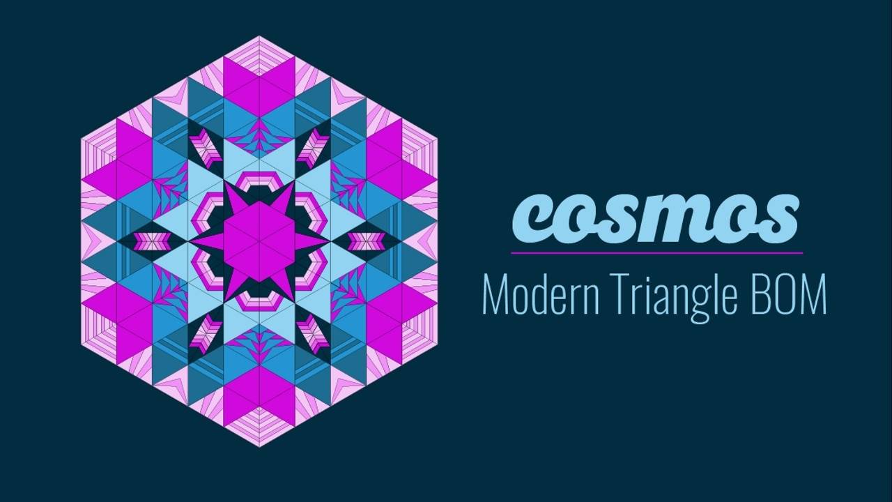 Cosmos Program with Bryan House Quilts