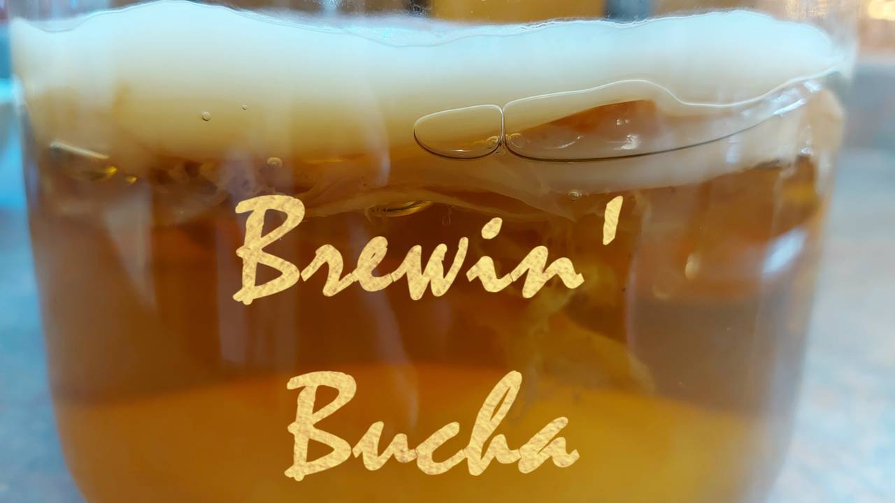 Brewin' Bucha