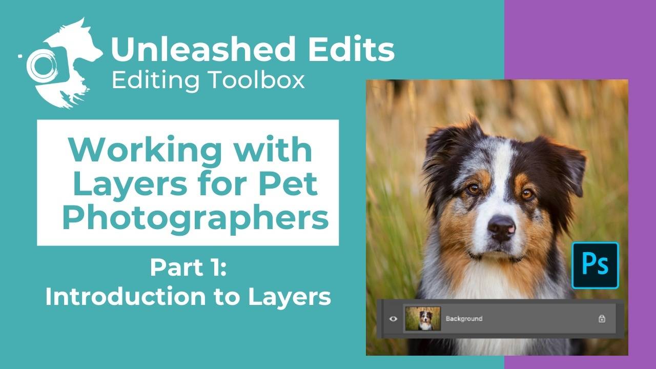 Working with Layers for Pet Photographers (5 parts) Part 1