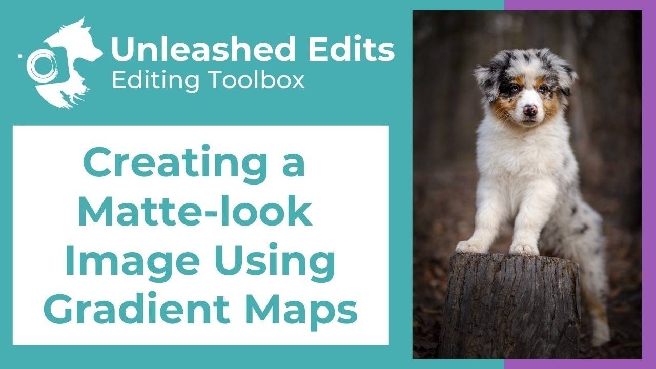 Editing Toolbox: Creating a Matte-look Image Using Gradient Maps