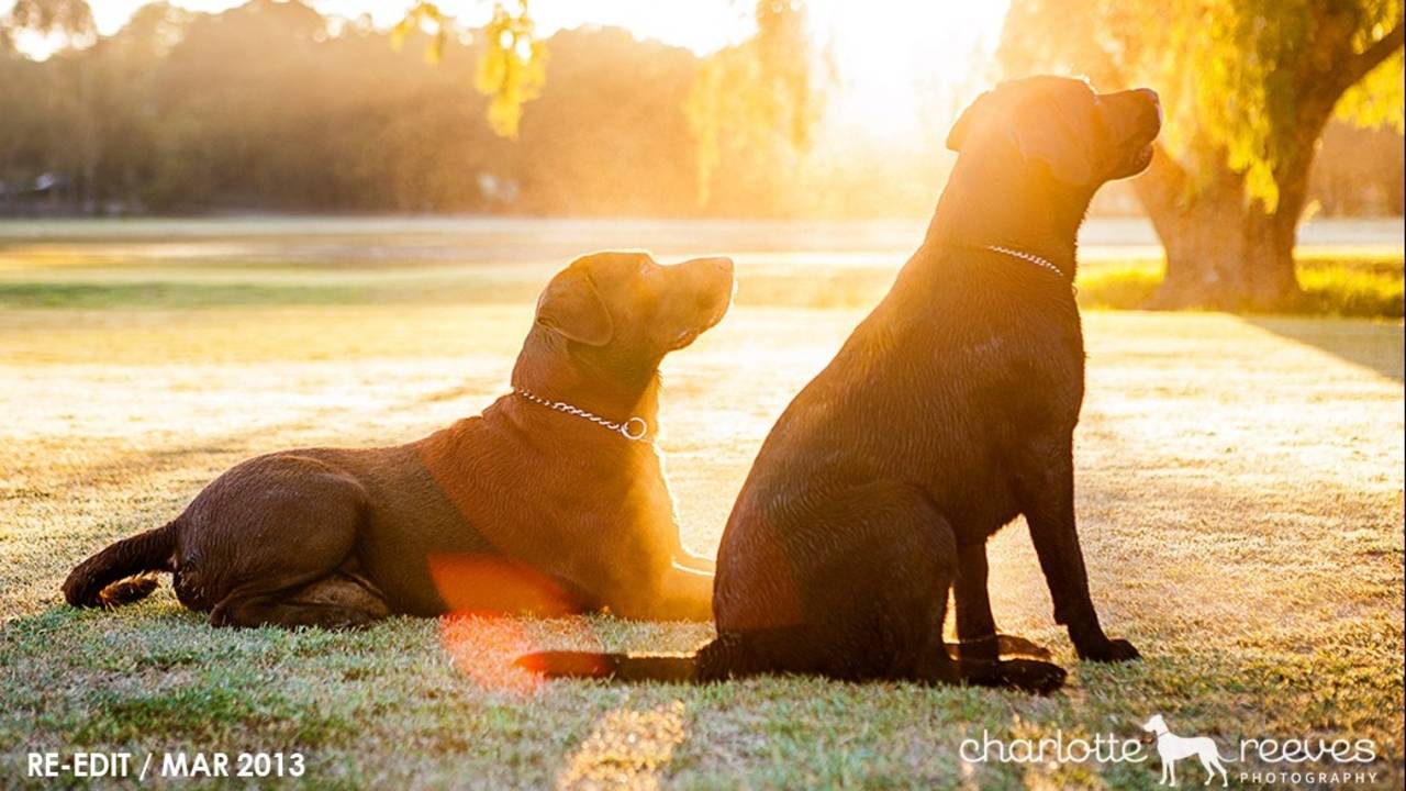 Fun with re-editing ~ Part 2