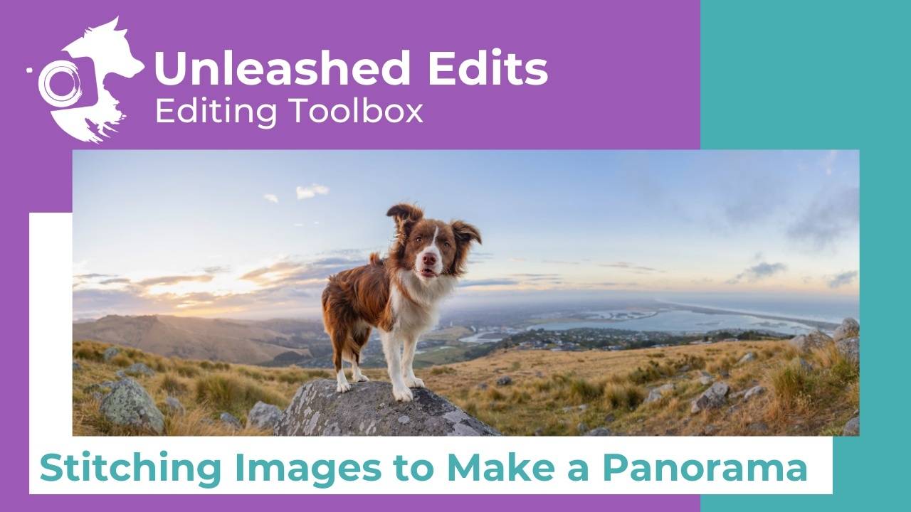 Editing Toolbox: Stitching Images to make a Panorama