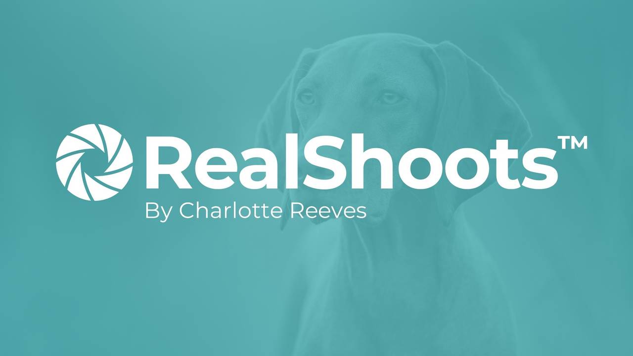 RealShoots Complete Course