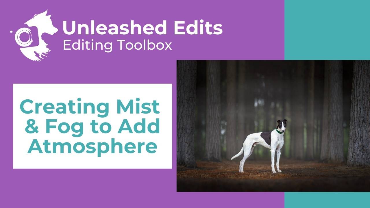 Editing Toolbox: Creating Mist & Fog to Add Atmosphere