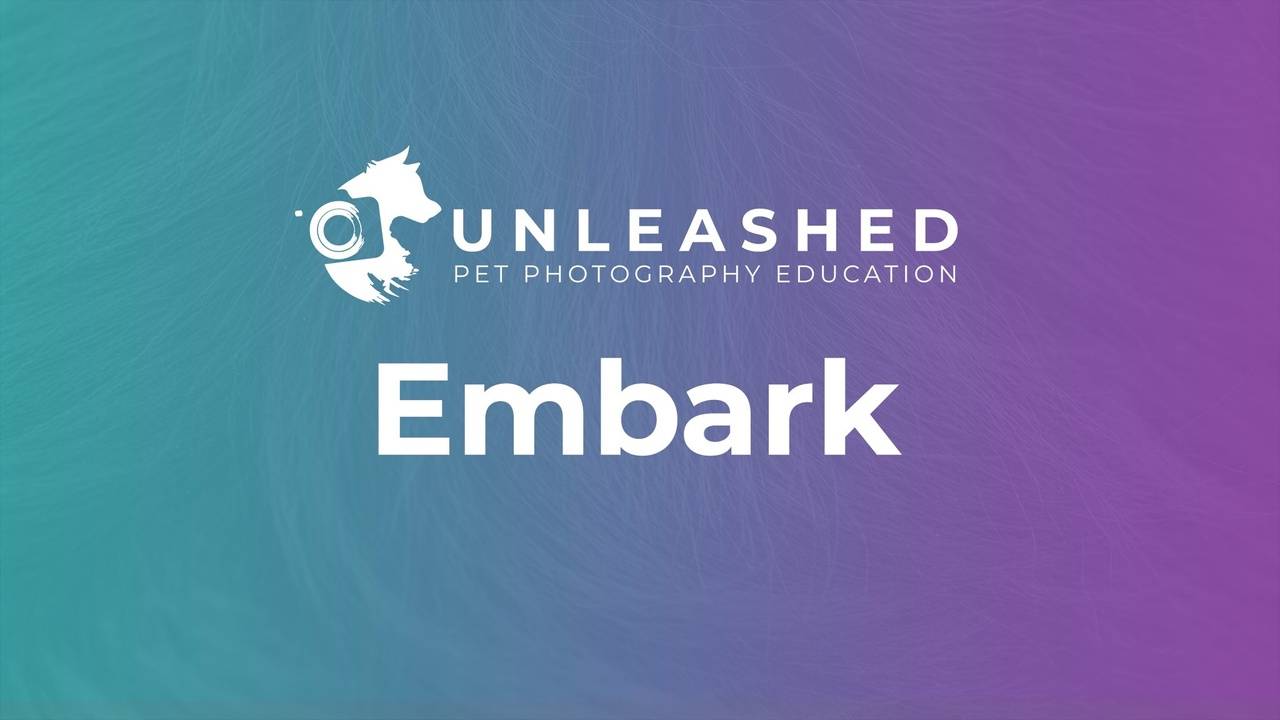 Embark - Pet Photography Unleashed Challenges