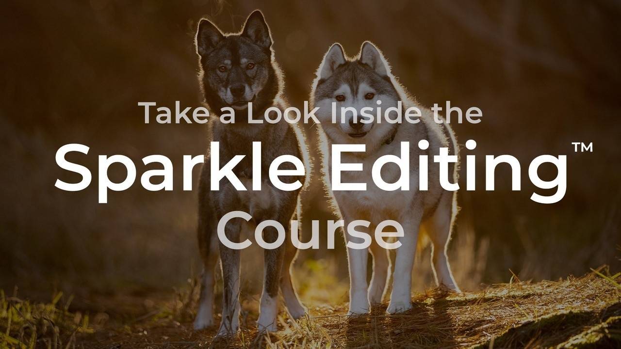 Take a Sneak Peek Into the Sparkle Editing™ Masterclass.