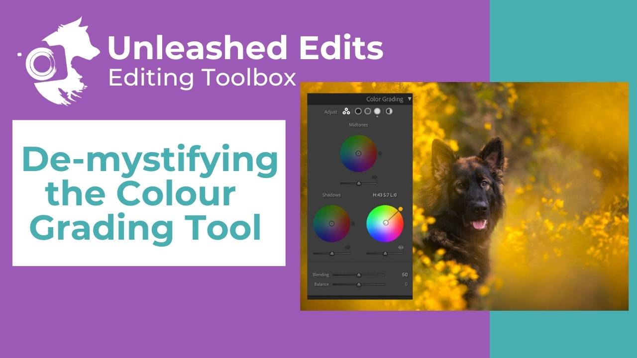 Editing Toolbox: De-mystifying the Colour Grading Tool