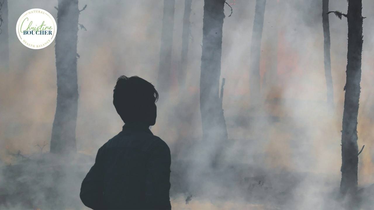 Dealing with the Mental & Emotional Impact of a Bushfire
