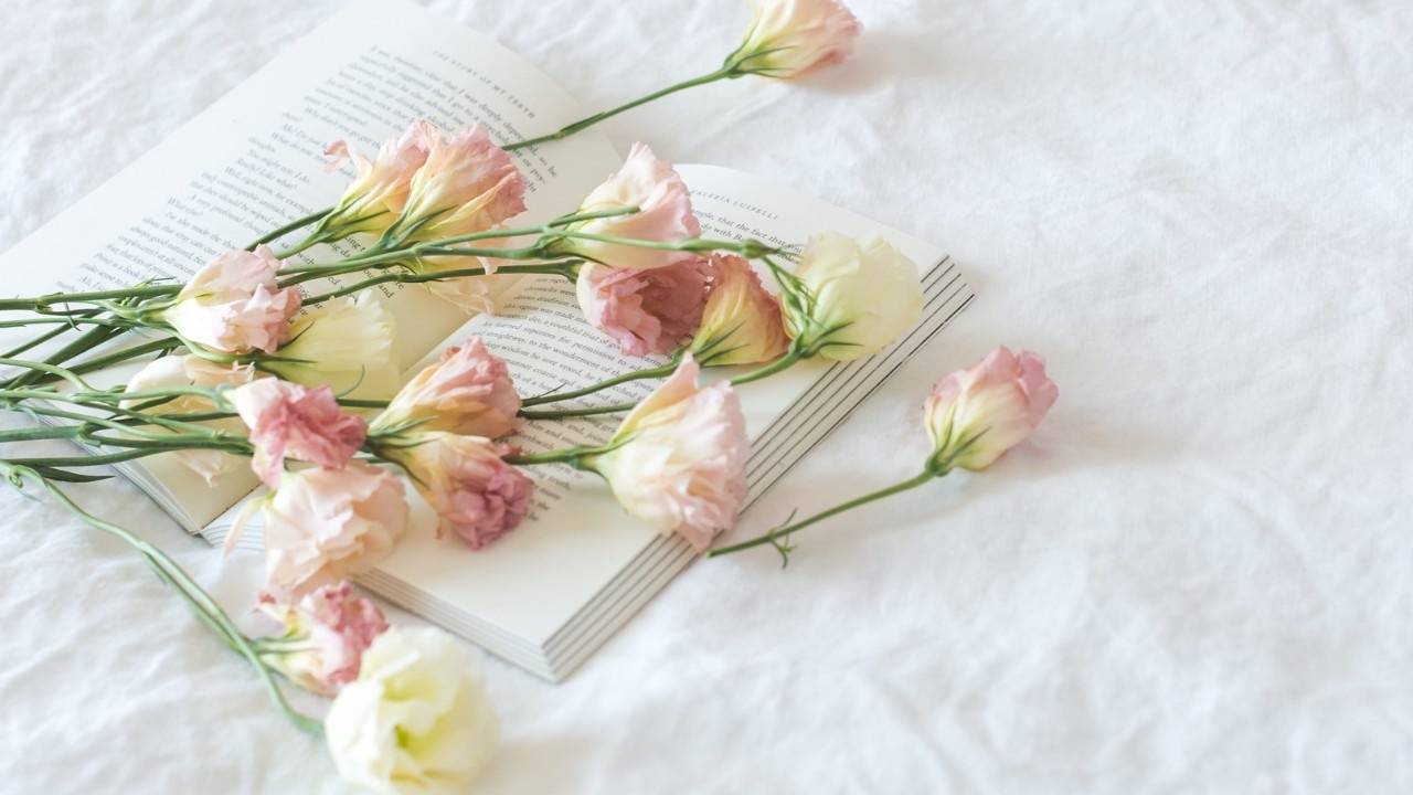 The 6 Scenes Every Romance Novel Must Have