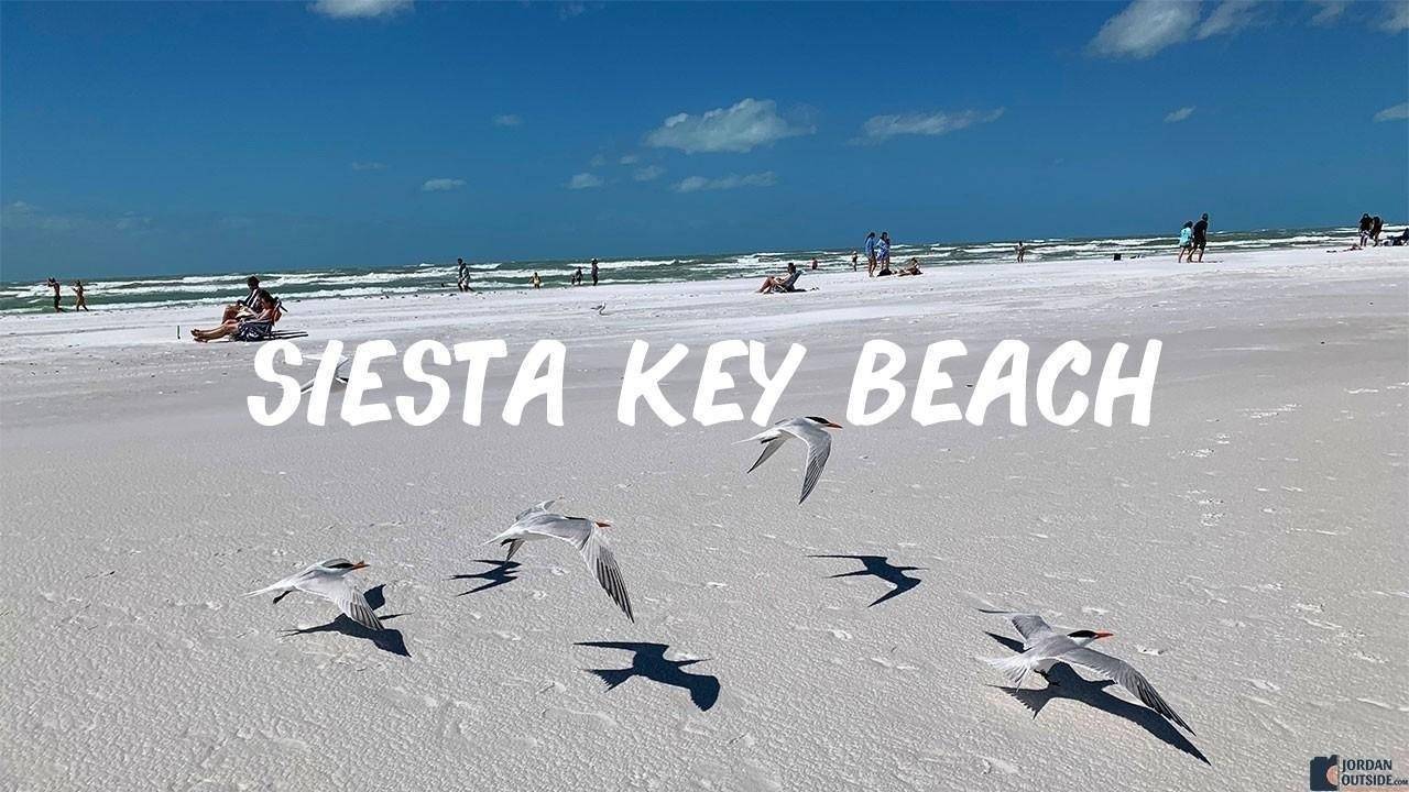 Siesta Key - A Beautiful Florida Beach | Jordan Outside