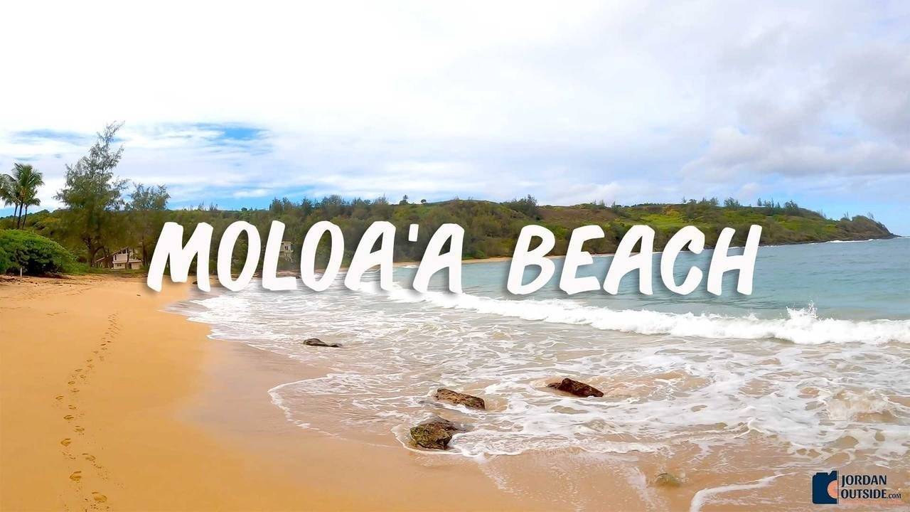 Moloa'a Beach is located on the north shore of Kauai, Hawaii