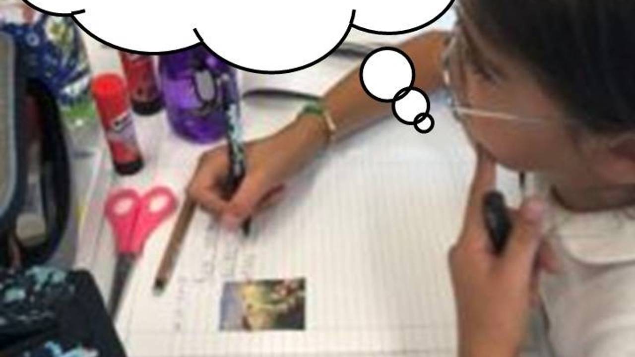 The Art of the Provocation in the IB PYP