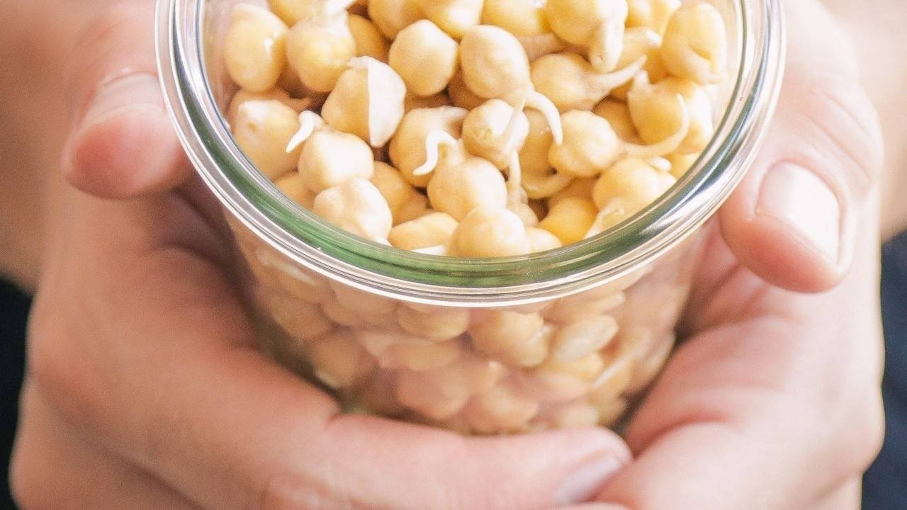 How To Sprout Chickpeas (& Why You Should Do It)