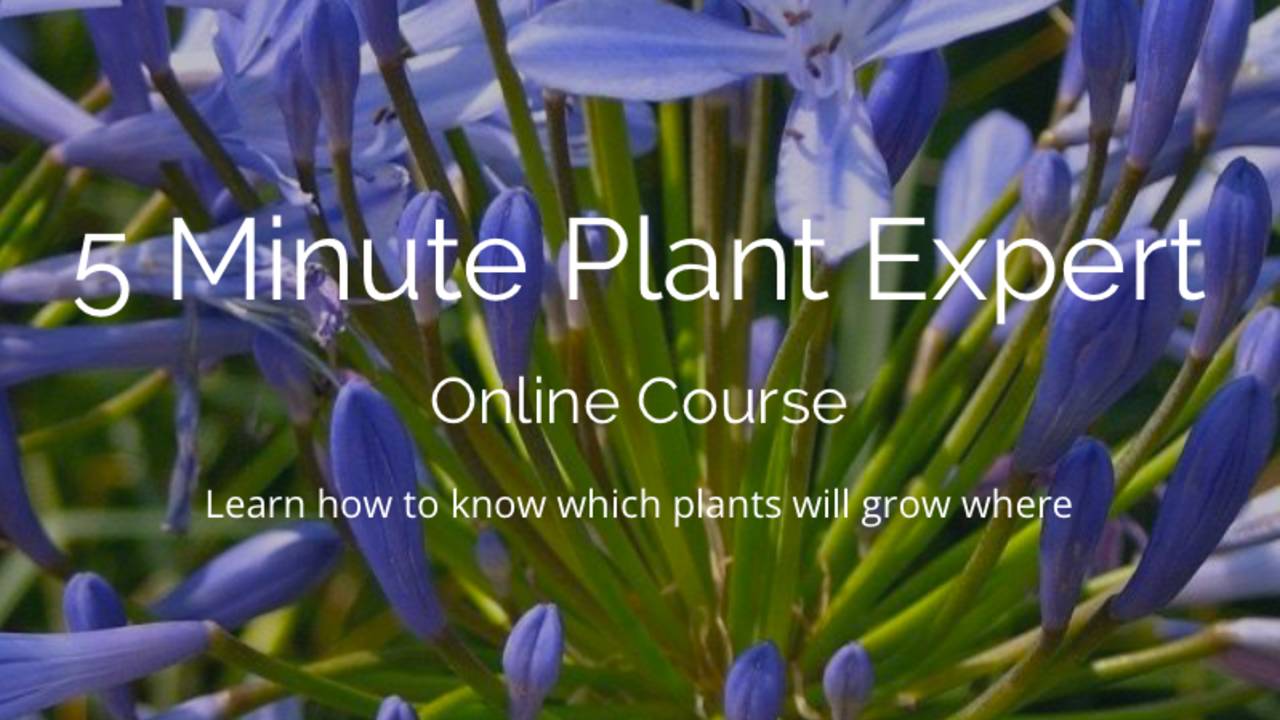 5 Minute Plant Expert Online Course