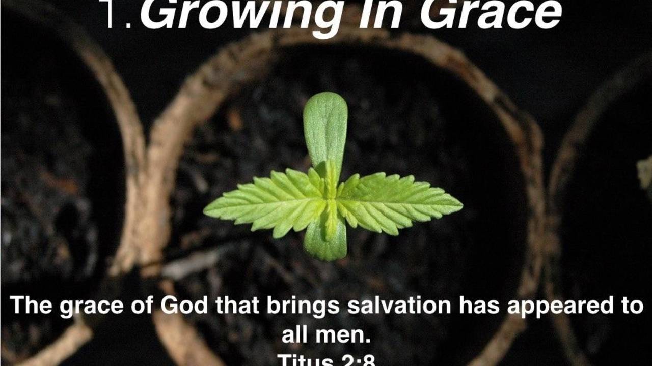 Getting Grounded In The Faith - Four Week Course