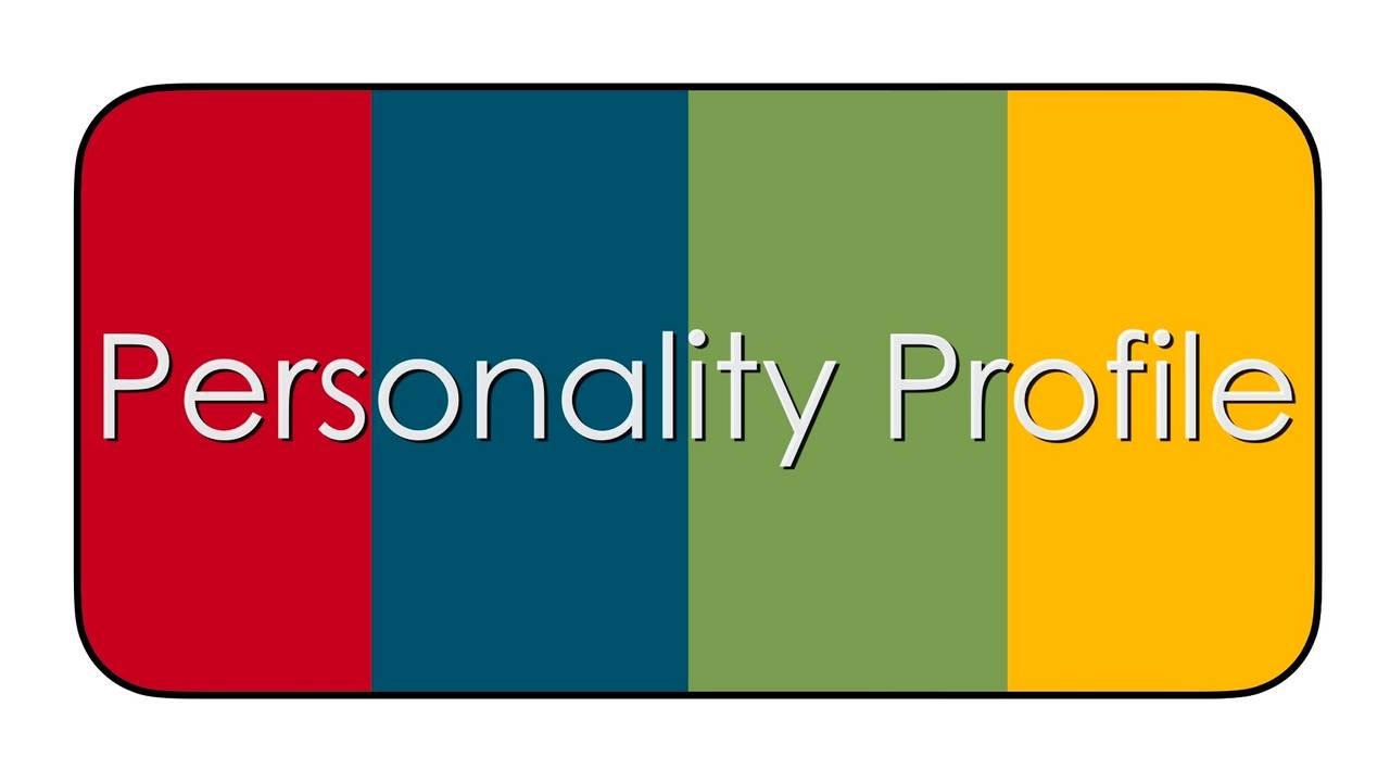 The Personality Profile (DISC + Colors Assessment)
