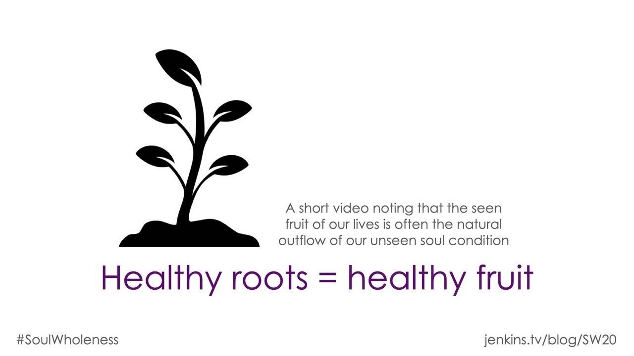 Video: Healthy roots = healthy fruit