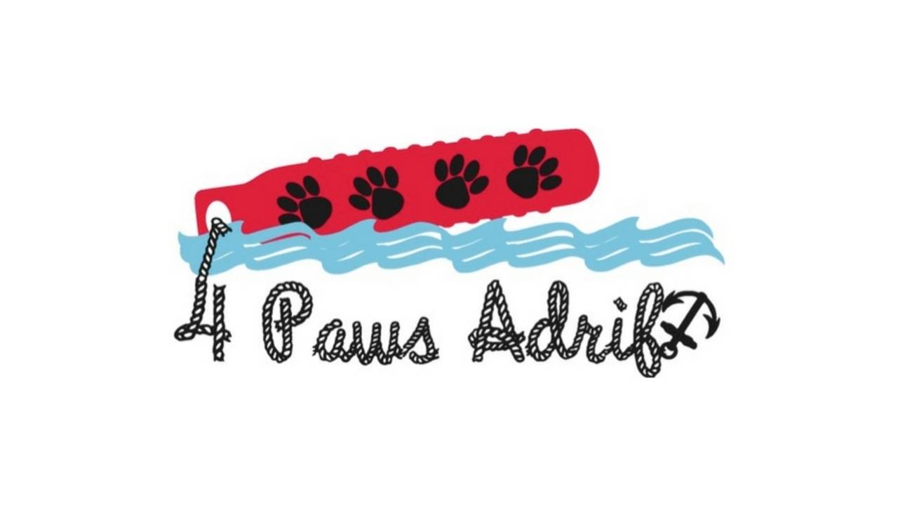 4 Paws Adrift - Swim Center