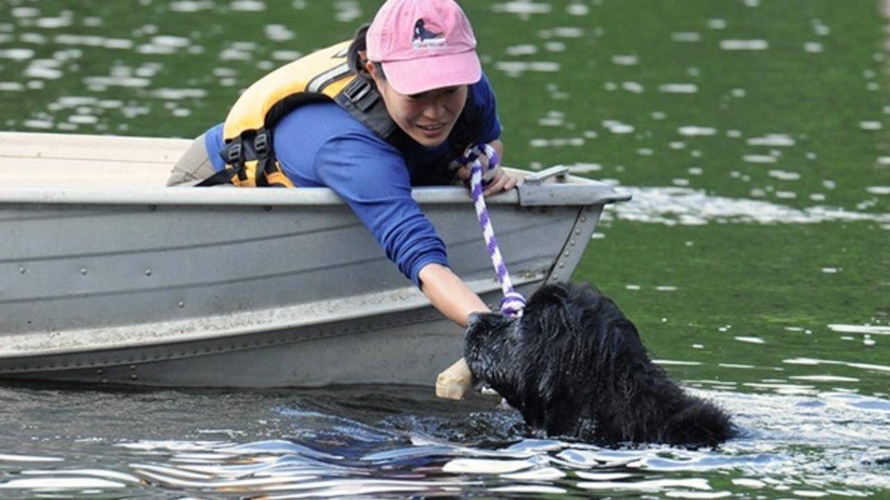 Three ways to increase water test pass rates!