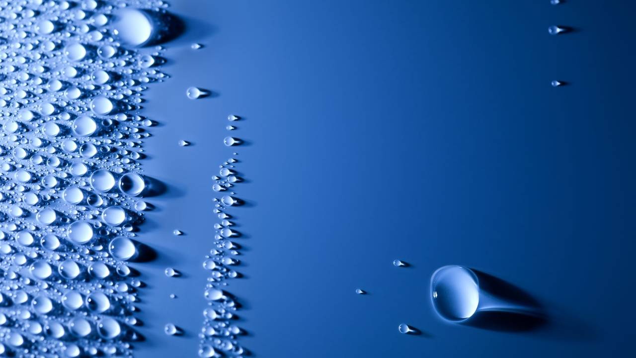 The Flow Immersion | Flow Psychology Coaching Program