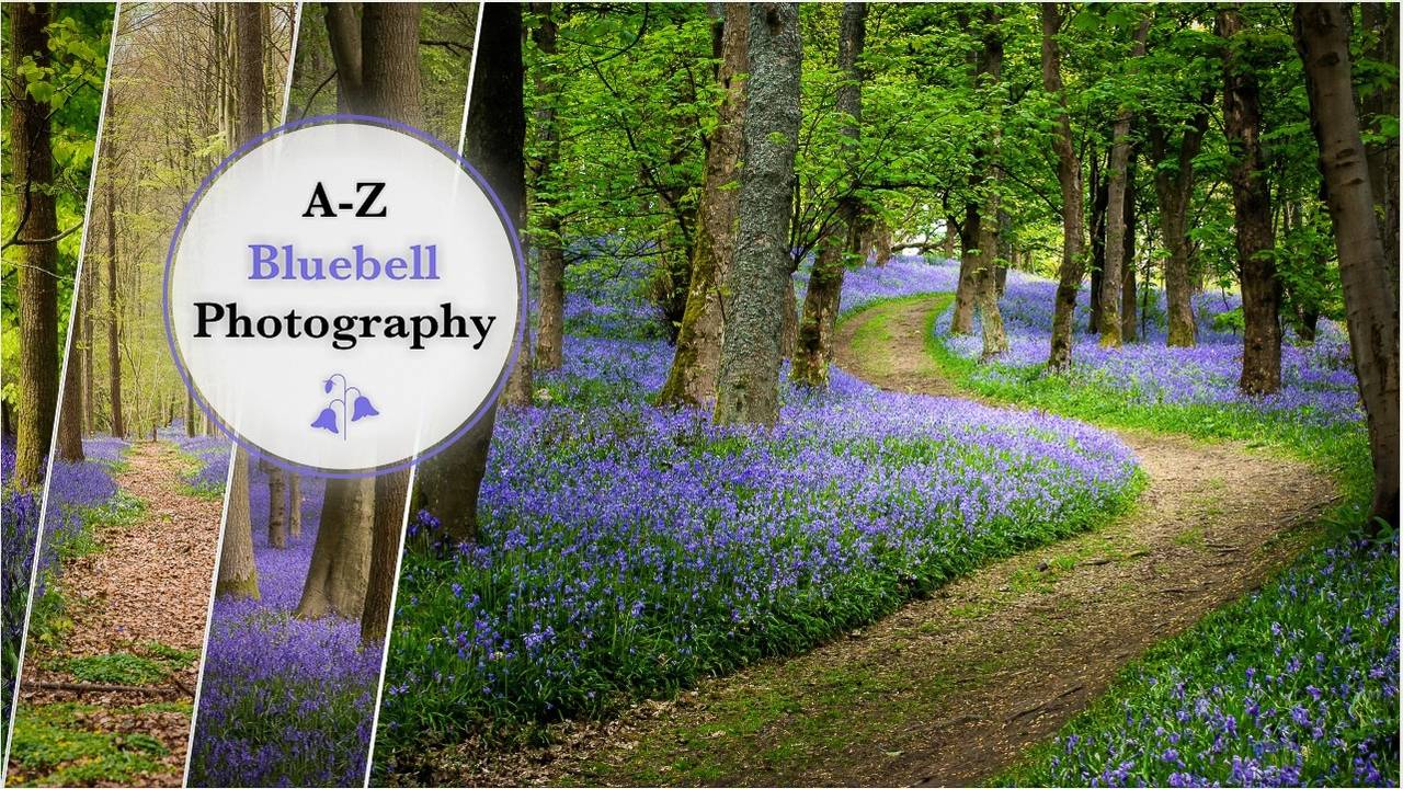 How to photograph Bluebells (Everything you need to know in 2021)