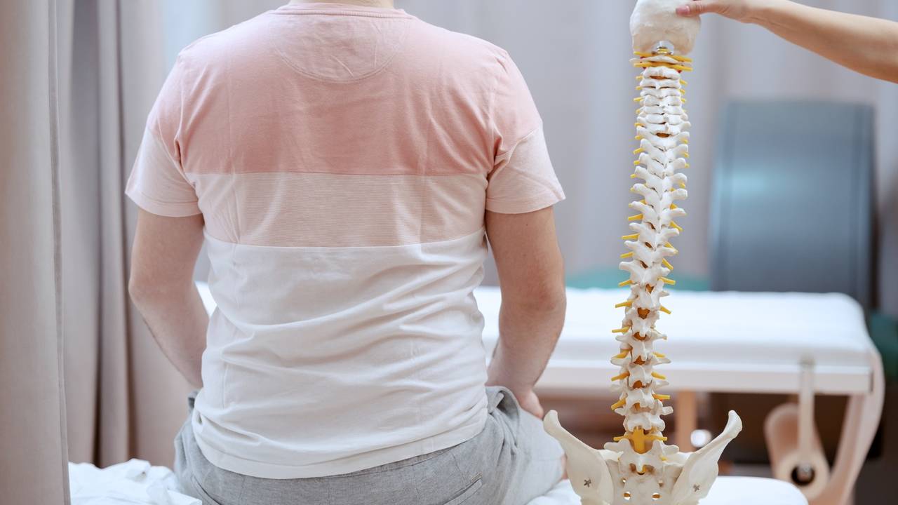 Chiropractic Continuing Education Units: Chiropractic CEUs In 2025