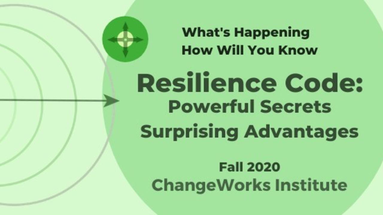 ChangeWorks Institute delivers success-generating strategies.