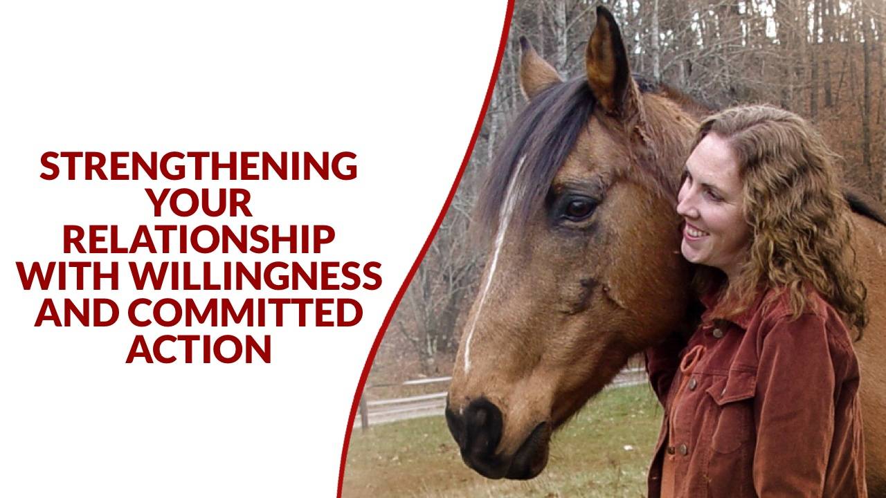 Strengthening your Relationship with Willingness and Committed Action