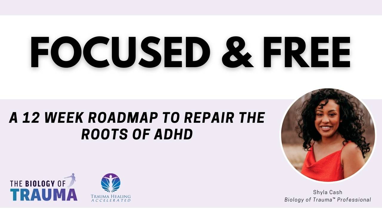 Focused & Free - A 12-Week Roadmap To Repair the Roots of ADHD