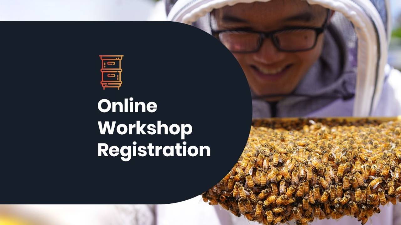 Online Beekeeping Courses for Beekeepers in Australia