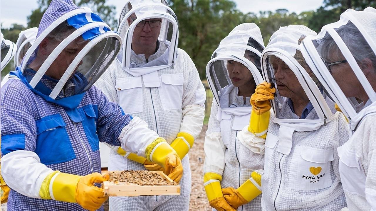 How To Get Started in Beekeeping - A Step by Step Guide