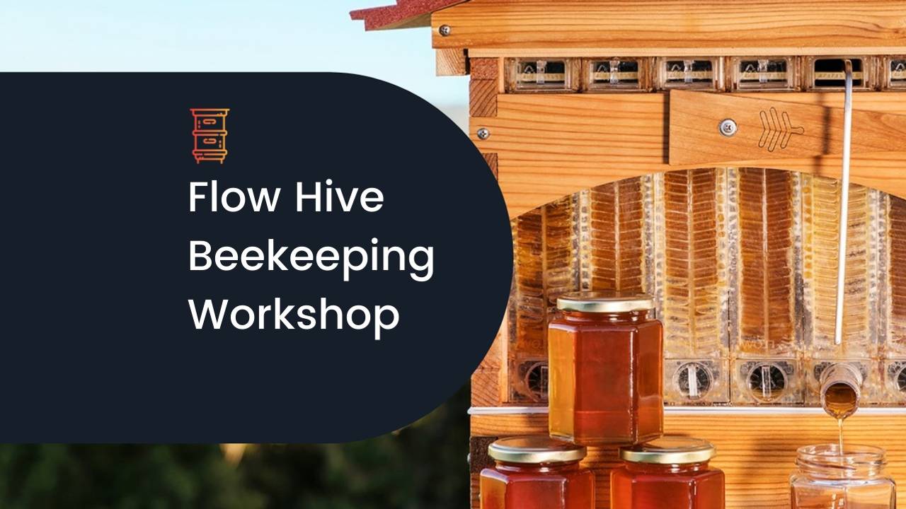 Beekeeping Course Melbourne - Flow Hive Beekeeping Workshop