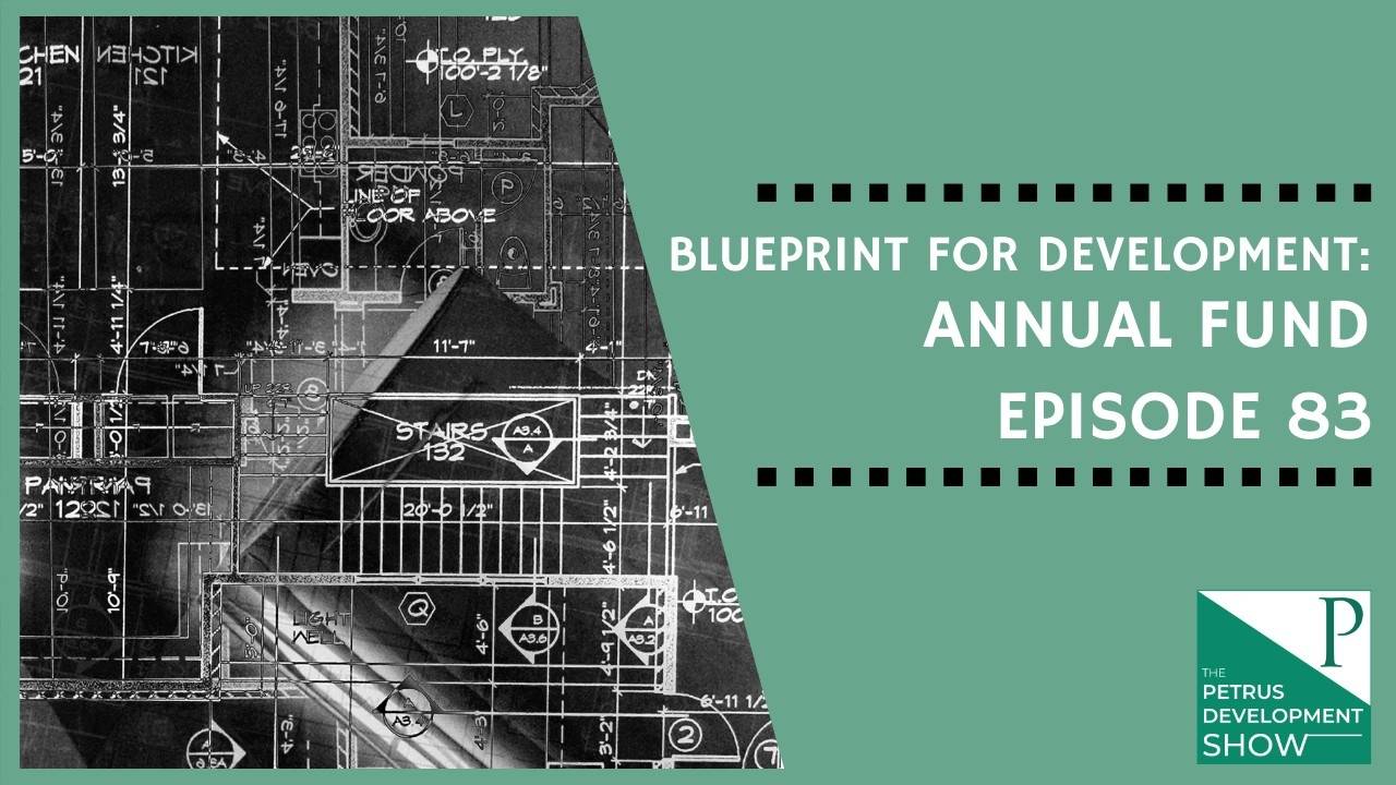 Blueprint for Development: Annual Fund